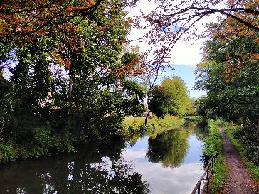 Guildford - BBC Weather