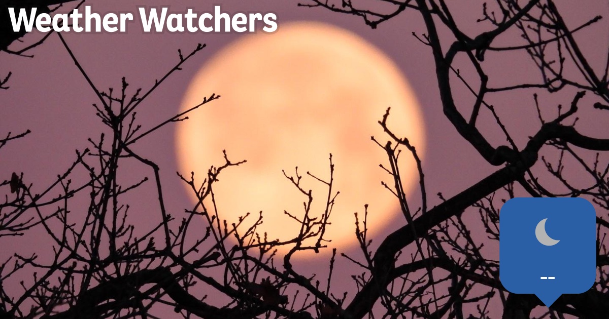 Report - BBC Weather Watchers