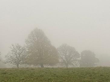 Ashford - BBC Weather