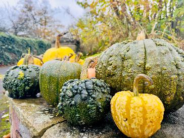 Congleton - BBC Weather