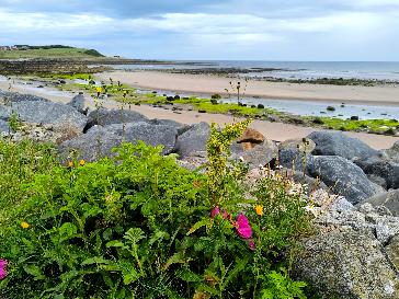 Peterhead - BBC Weather