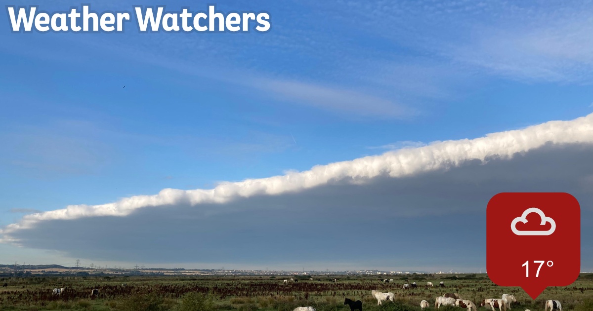 Report - BBC Weather Watchers