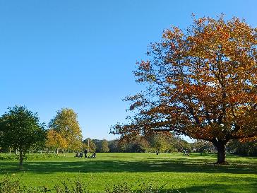 Mildenhall - BBC Weather