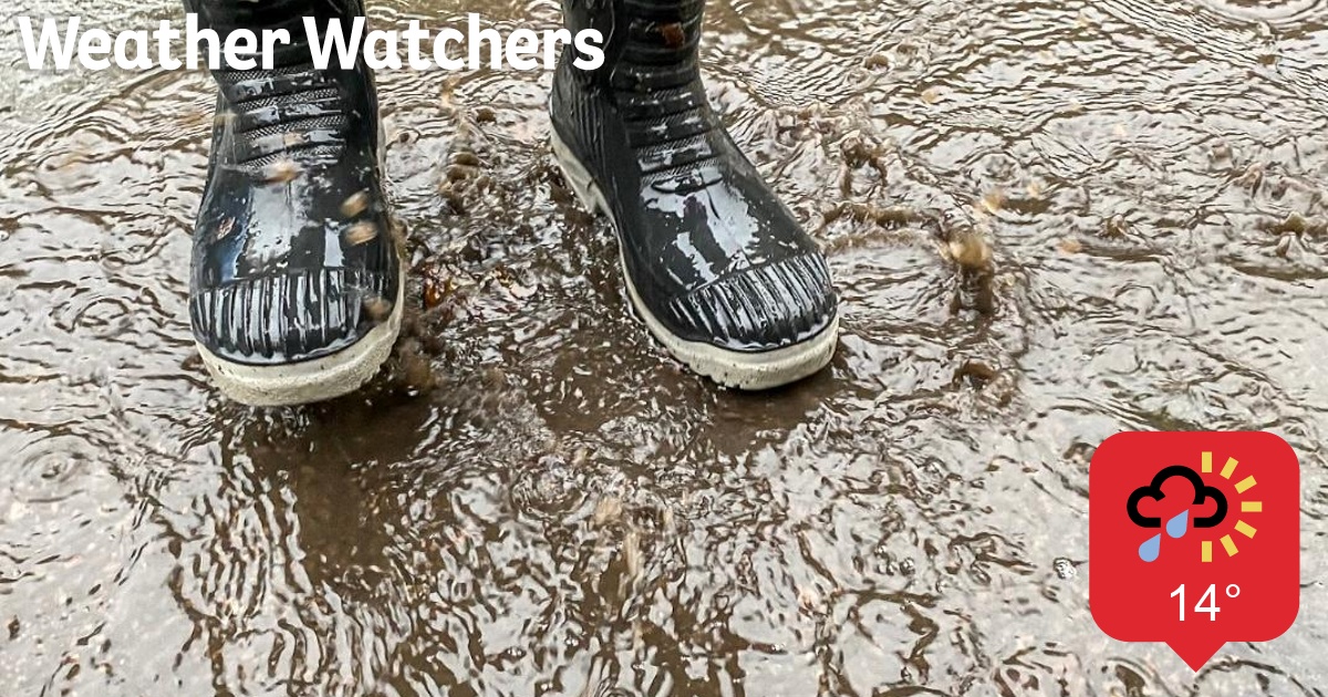 Report - BBC Weather Watchers