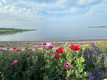 Anstruther - BBC Weather