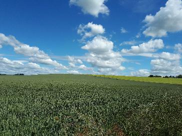 Swindon - BBC Weather