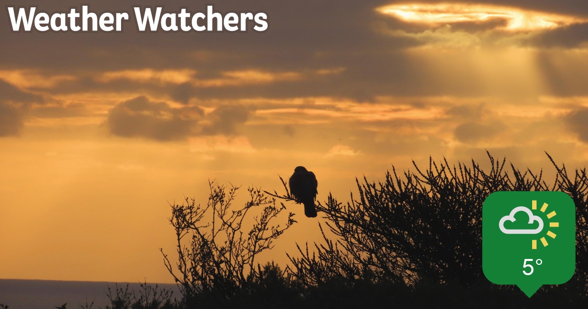 Report - BBC Weather Watchers