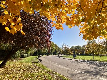 Ilford - BBC Weather