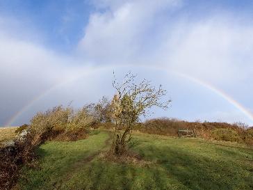Sheffield - BBC Weather