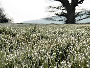 Oswestry - BBC Weather
