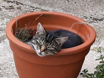 Evesham - BBC Weather