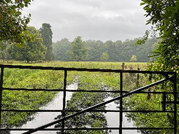 Irvine - BBC Weather