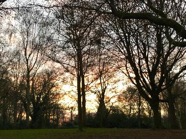 Coleraine - BBC Weather