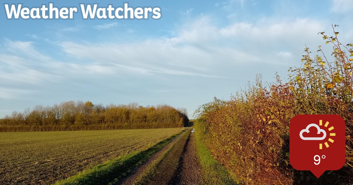 Report - BBC Weather Watchers
