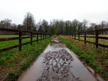 Swindon - BBC Weather