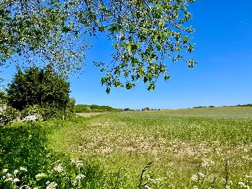 Tonbridge - BBC Weather