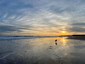 Newcastle upon Tyne - BBC Weather