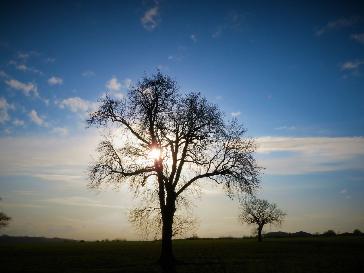 Nottingham - BBC Weather