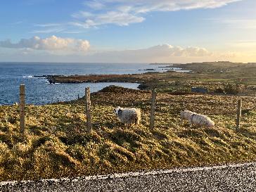 Shetland - BBC Weather