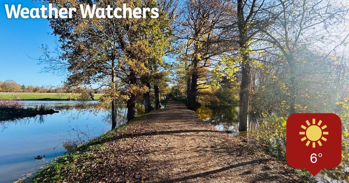 Report - BBC Weather Watchers