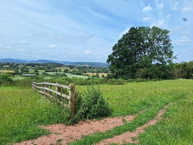 Report - BBC Weather Watchers