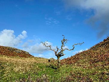 Ambleside - BBC Weather