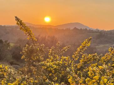Livingston - BBC Weather