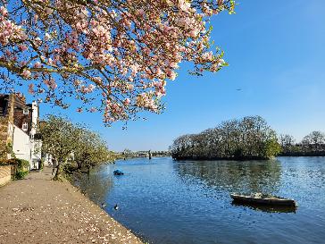 Hayes (Hillingdon) - BBC Weather