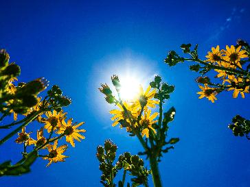 Coventry - BBC Weather