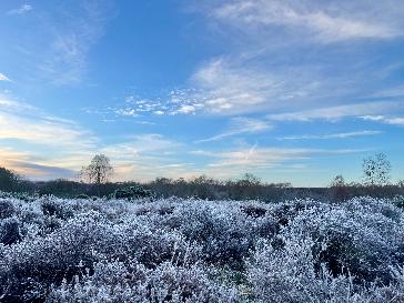 Inverurie - BBC Weather