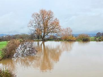 Sutton Coldfield - BBC Weather