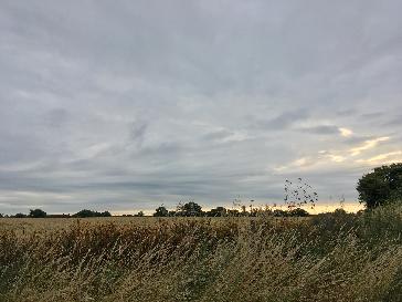 Haverhill - BBC Weather