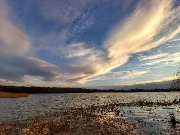 Wakefield - BBC Weather