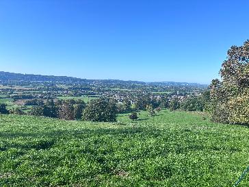 Portishead - BBC Weather