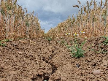 Coventry - BBC Weather