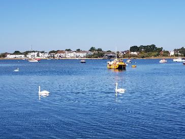 Gosport - BBC Weather