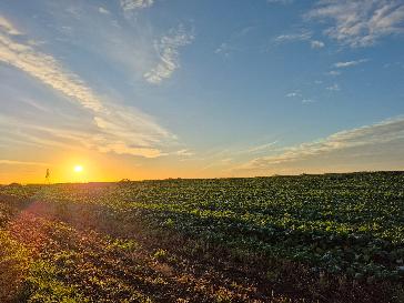 Hinckley - BBC Weather