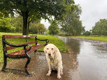 Lytham - BBC Weather