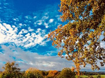 Congleton - BBC Weather