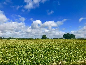 Stoke-on-Trent - BBC Weather
