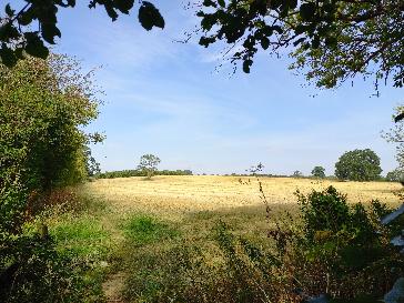 Swindon Village - BBC Weather