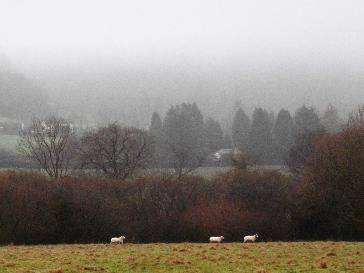 Telford - BBC Weather