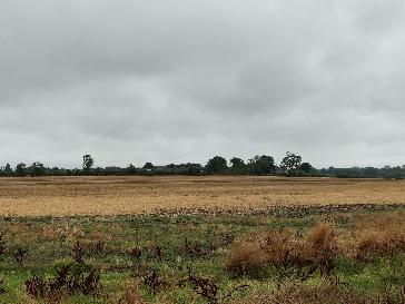 Leicester - BBC Weather