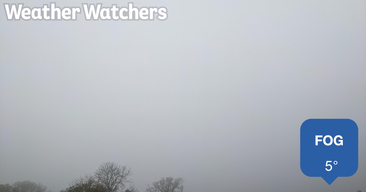 Report - BBC Weather Watchers