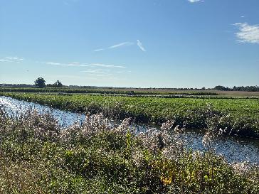 Mildenhall Royal Air Force Base - BBC Weather