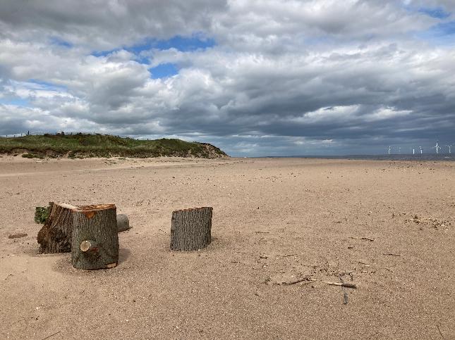 Report - BBC Weather Watchers