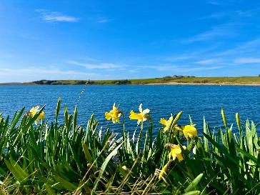 Oldmeldrum - BBC Weather