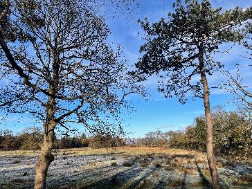 Dunblane - BBC Weather