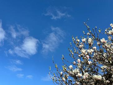 Greenock - BBC Weather