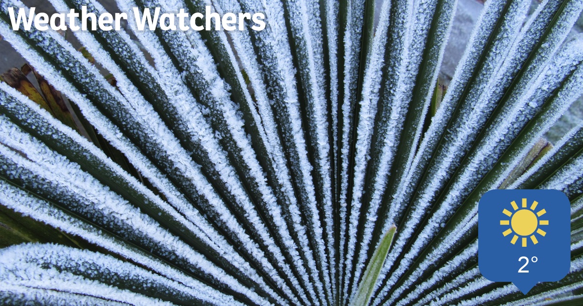 Report - BBC Weather Watchers